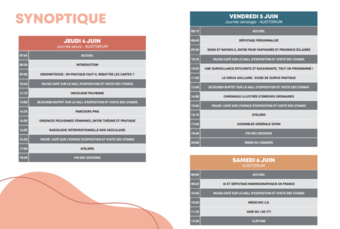 Programme & Synoptique | SIFEM 2026